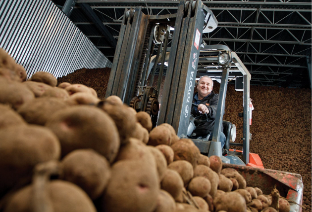 Emplois | Patates Dolbec | Profil de l'entreprise | jobillico.com