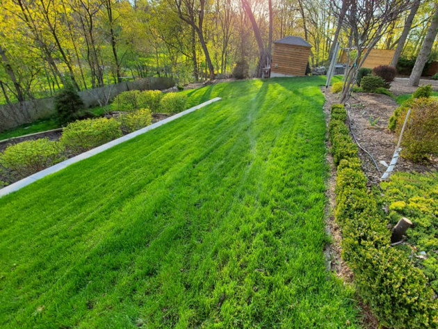 Jobs | Canadian Property Stars | Corporate profile | jobillico.com