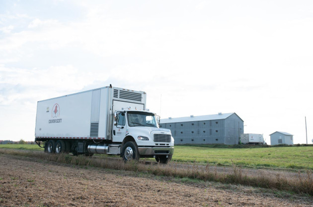 Job postings | Coordonnateur(trice) logistique | Scott, Québec ...